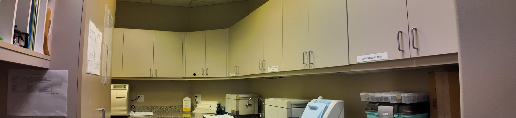 Endodontist Concord CA | Endodontics